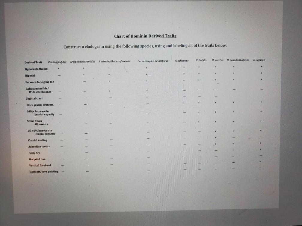 Solved Chart of Hominin Derived Traits Construct a cladogram | Chegg.com