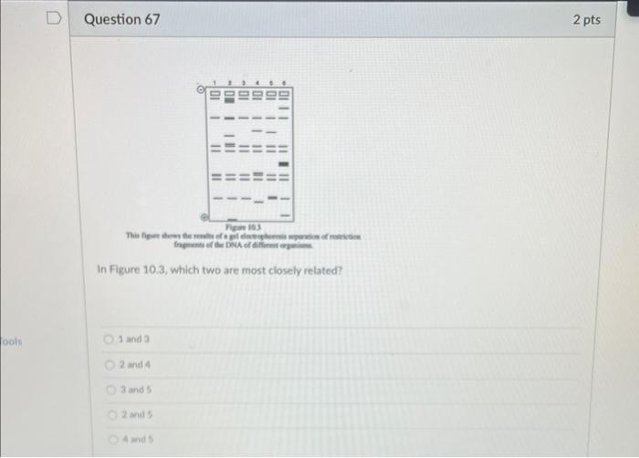 Solved In Figure 10.3, which two are most closely related? 1 | Chegg.com