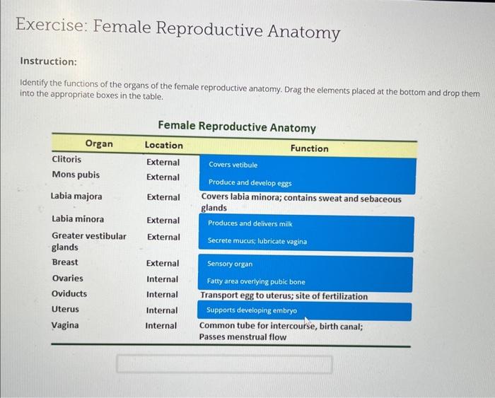 Solved Exercise: Female Reproductive Anatomy Instruction: | Chegg.com