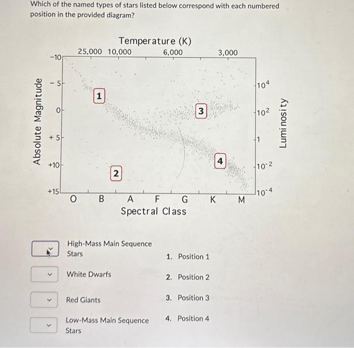 Solved Which of the named types of stars listed below | Chegg.com