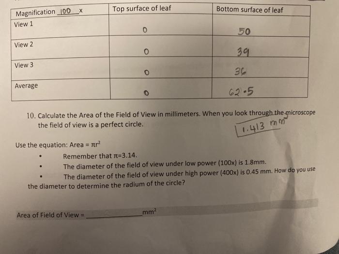 Solved Top surface of leaf Bottom surface of leaf | Chegg.com