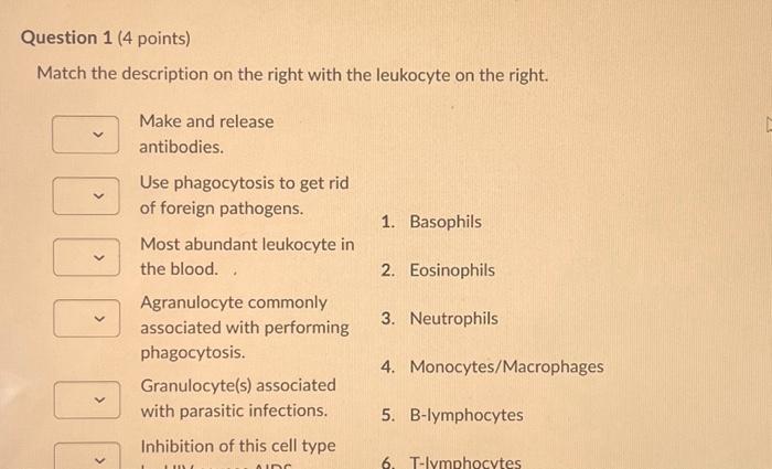 Solved Question 1 (4 points) Match the description on the | Chegg.com