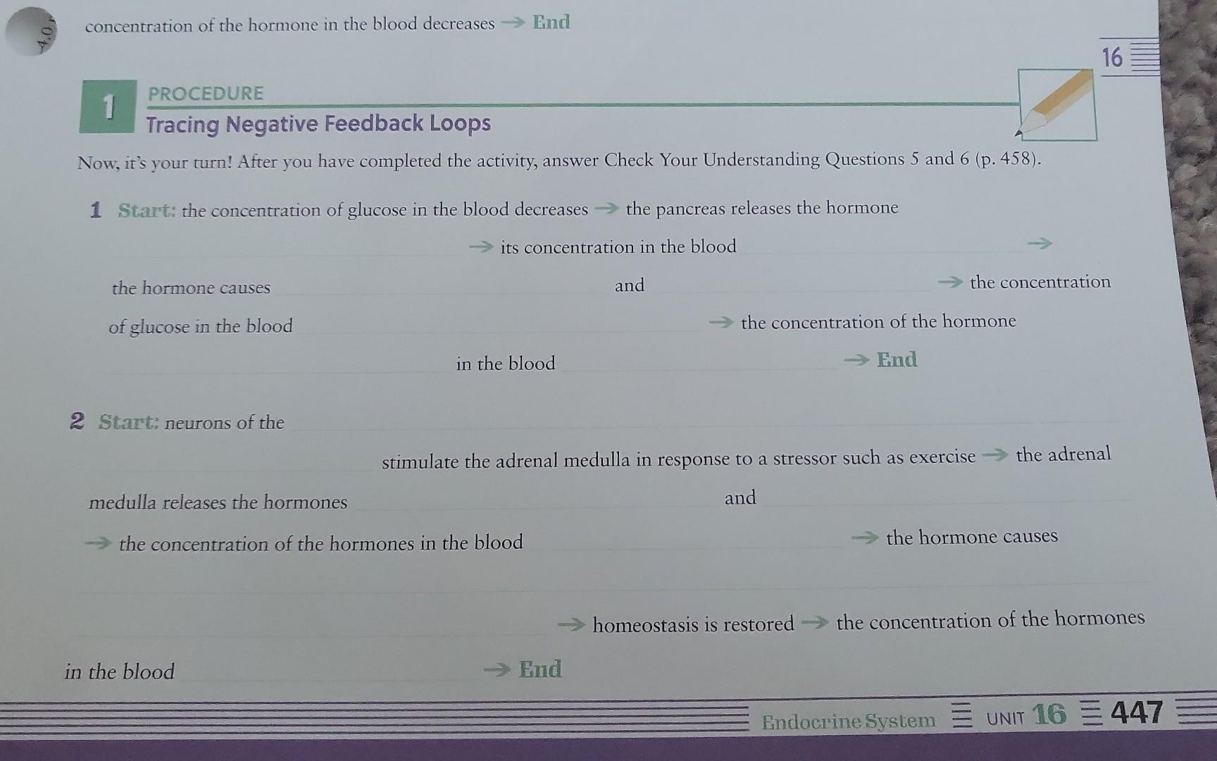 Solved concentration of the hormone in the blood decreases → | Chegg.com