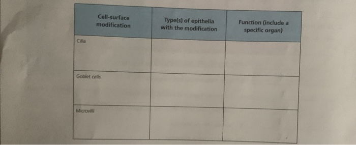 Solved Cell-surface modification Type(s) of epithelia with | Chegg.com