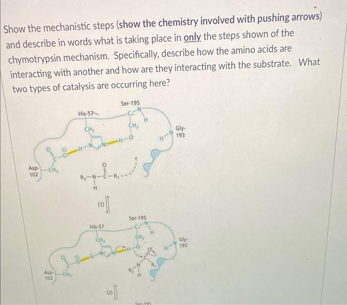 Solved Show the mechanistic steps (show the chemistry | Chegg.com