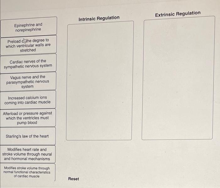 Solved Extrinsic Regulation Intrinsic Regulation Epinephrine | Chegg.com
