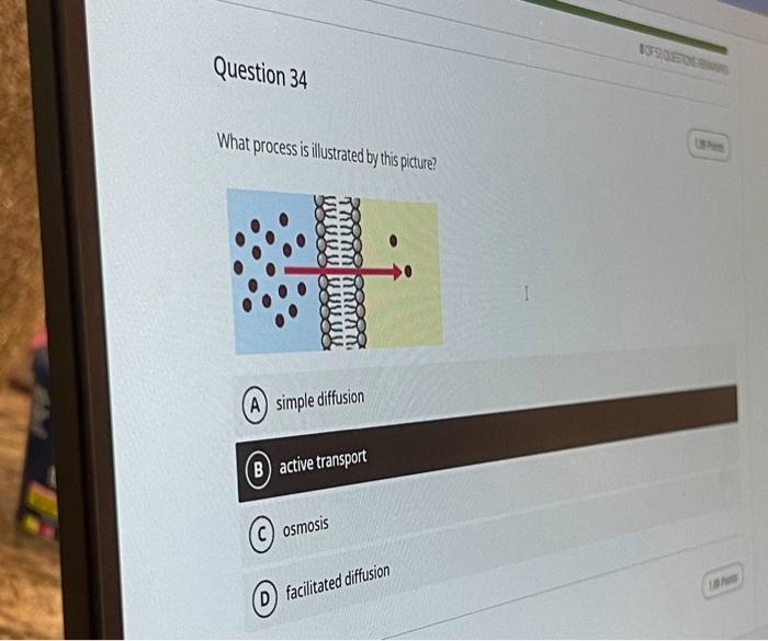 A Process Is Illustrated In The Diagram Below Which Process