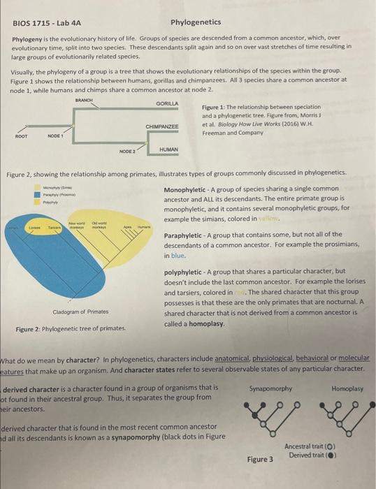 Solved 1. Which of the nodes on the diagram above (labeled | Chegg.com