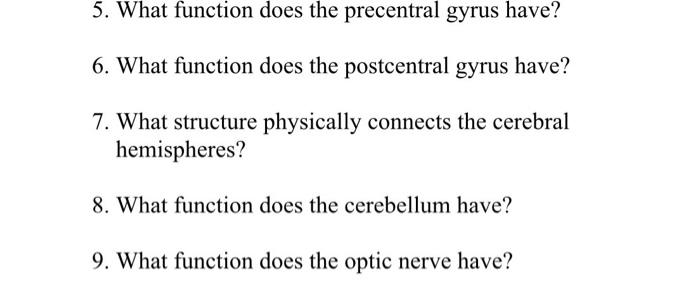 Solved 5. What function does the precentral gyrus have? 6. | Chegg.com