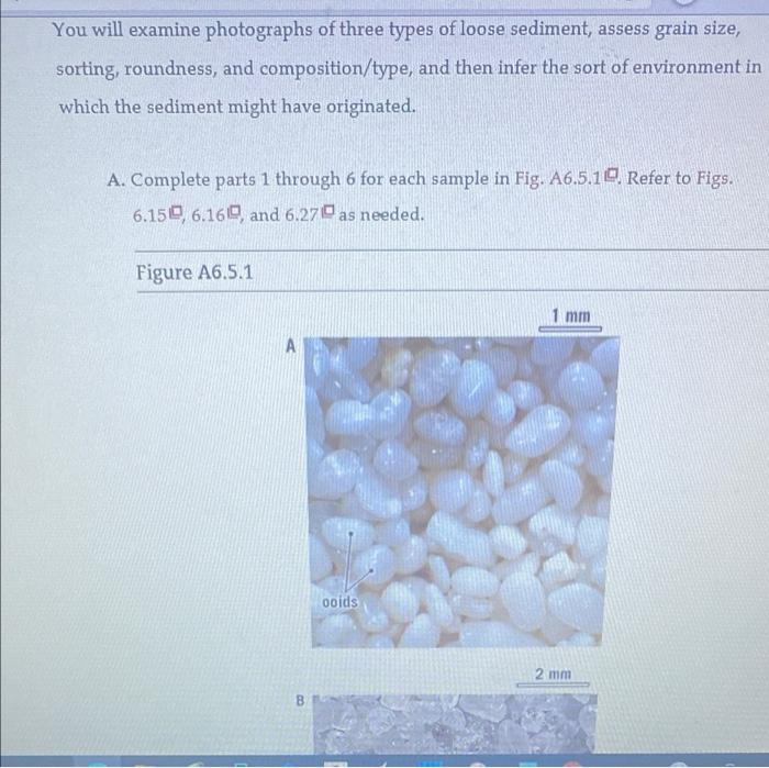 Solved You will examine photographs of three types of loose | Chegg.com
