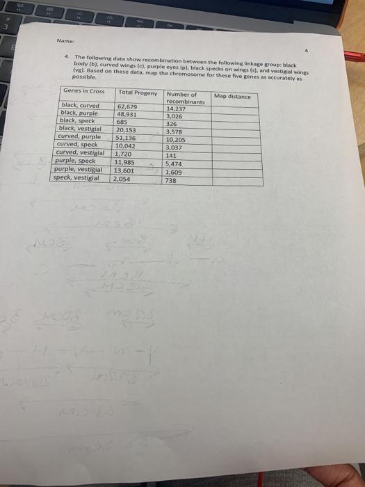 Solved Name: 2. Calculating recombination frequencies (map | Chegg.com