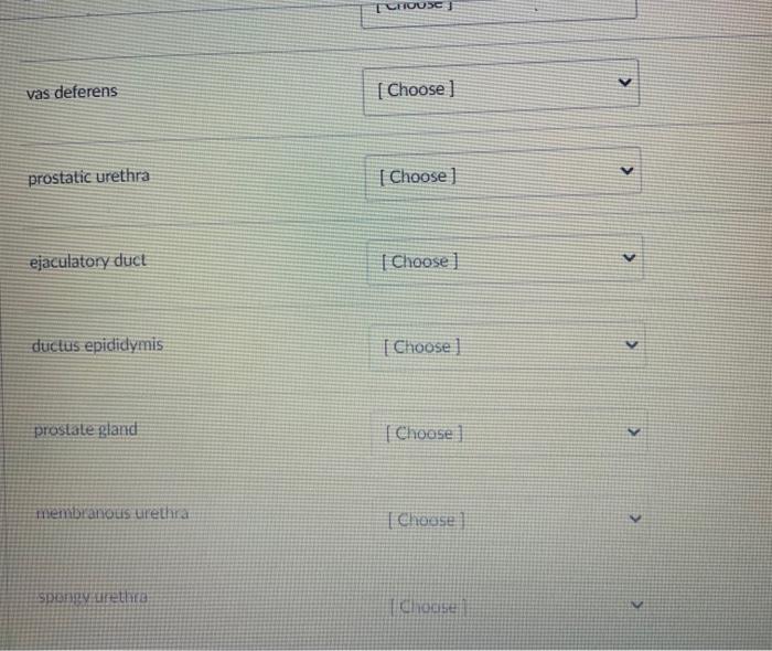 Solved Put the following in the correct sequence to follow | Chegg.com