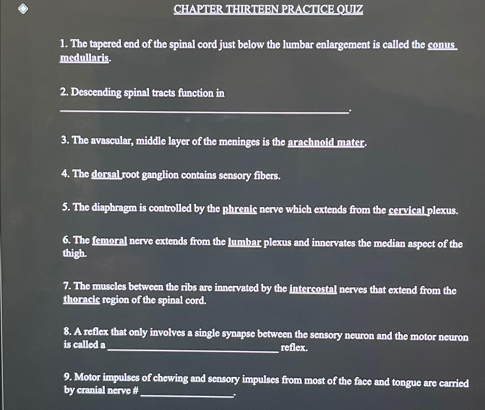 Solved CHAPTER THIRTEEN PRACTICE QUUZThe tapered end of the | Chegg.com