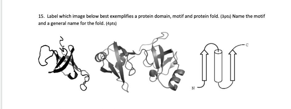 Solved 15. Label which image below best exemplifies a | Chegg.com