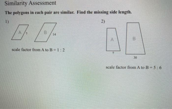 Solved Similarity Assessment The polygons in each pair are | Chegg.com