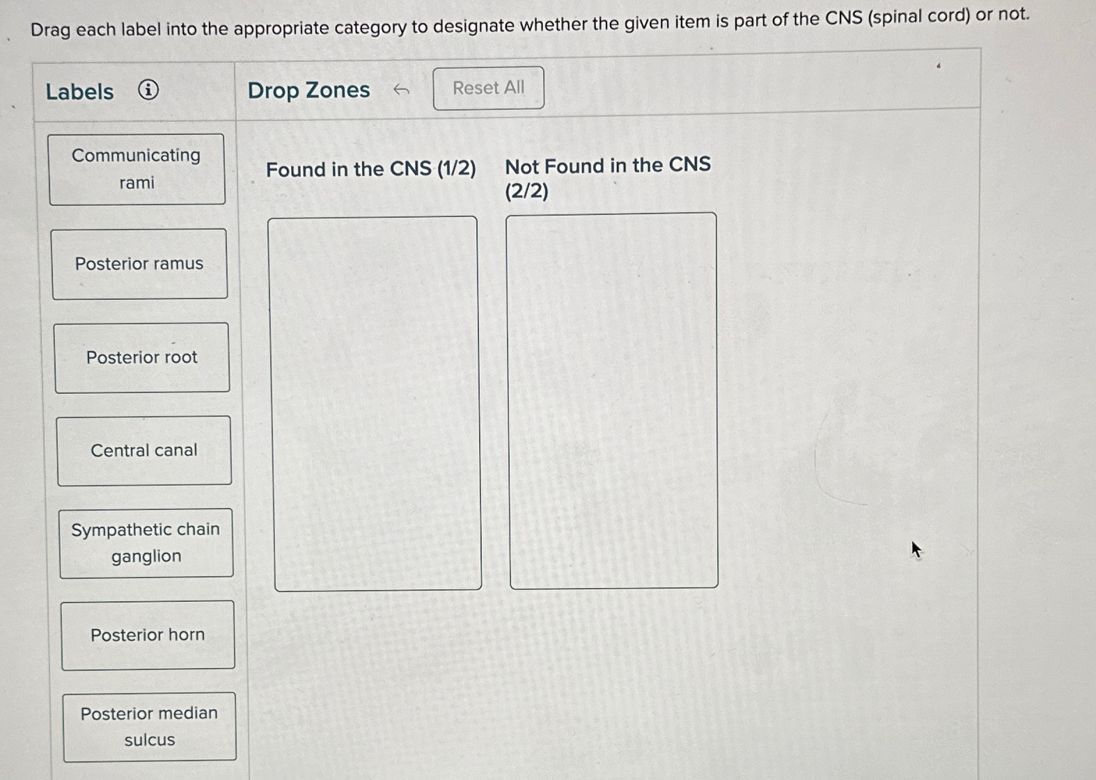 Solved Drag each label into the appropriate category to | Chegg.com