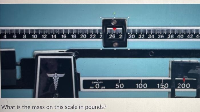 Solved What is the mass on this scale in pounds? | Chegg.com
