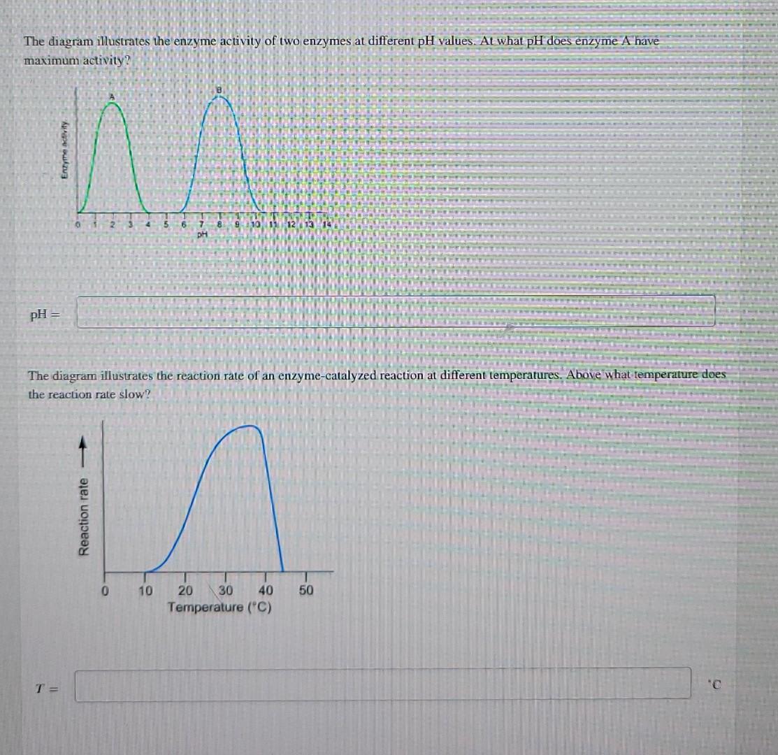 Solved The diagram illustrates the enzyme activity of two | Chegg.com
