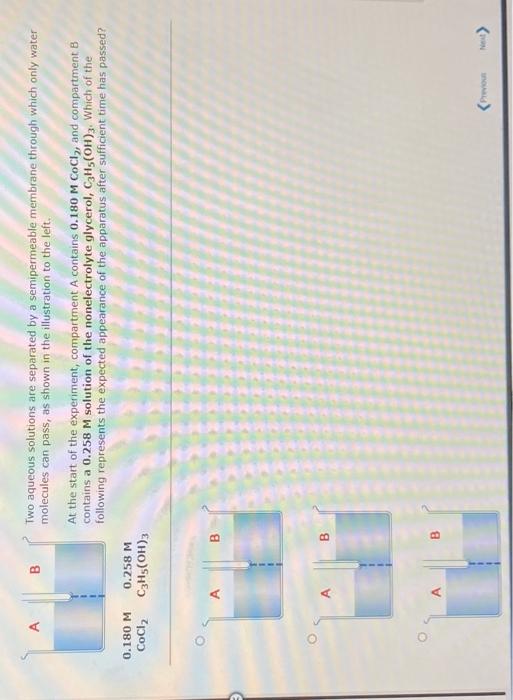 Solved Two aqueous solutions are separated by a | Chegg.com