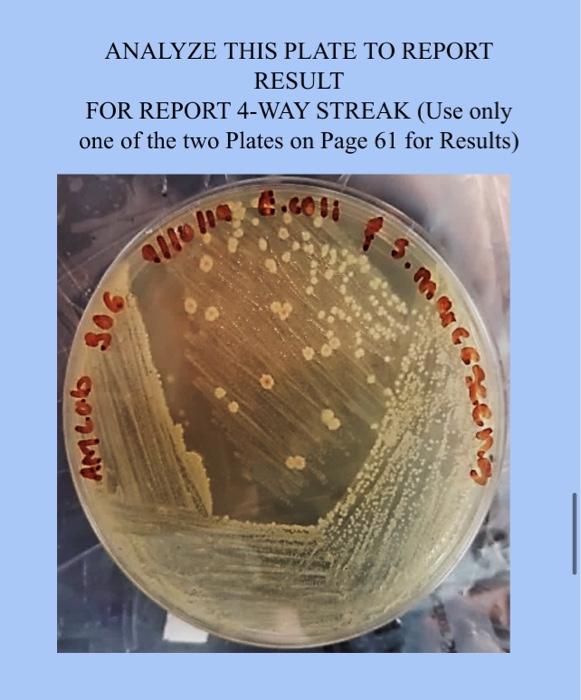 Solved ANALYZE THIS PLATE TO REPORT RESULT FOR REPORT 4-WAY | Chegg.com