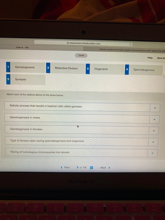 Solved newconnect. meducation.com Carrier proteins bind | Chegg.com