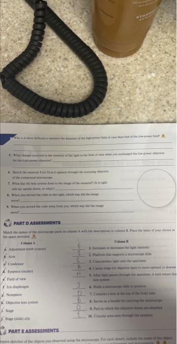 Solved imase? mont PART D ASSE5SMENTS. PART E ASSESSMENTS | Chegg.com