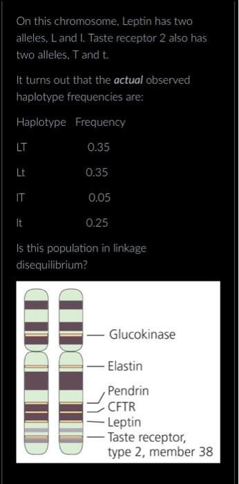 Solved On This Chromosome Leptin Has Two Alleles L And I