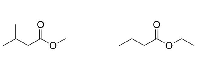 Solved how to differentiated by EI fragmentation pattern | Chegg.com