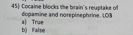 Solved Cocaine blocks the brain's reuptake of dopamine and | Chegg.com