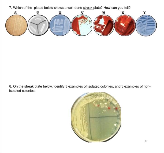 Solved 7. Which of the plates below shows a well-done streak | Chegg.com