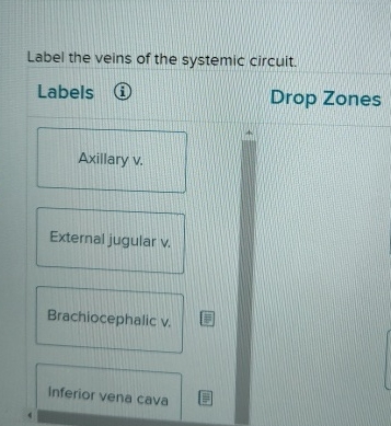 Solved Label the veins of the systemic circuit.Labels(i)Drop | Chegg.com
