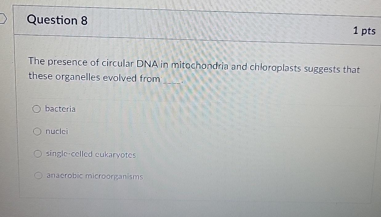 Solved Question 81 ﻿ptsThe presence of circular DNA in | Chegg.com