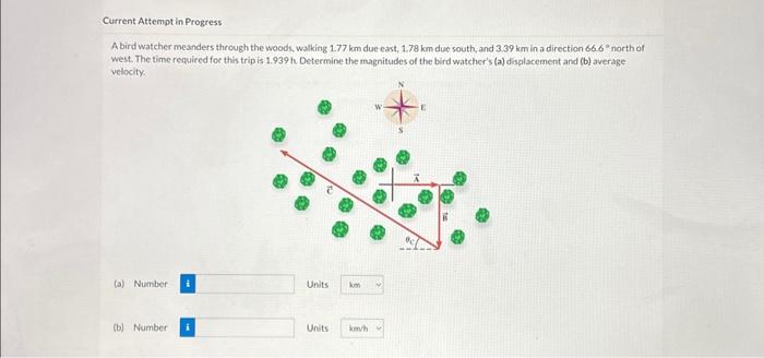 Solved A bird watcher meanders through the woods, walking | Chegg.com