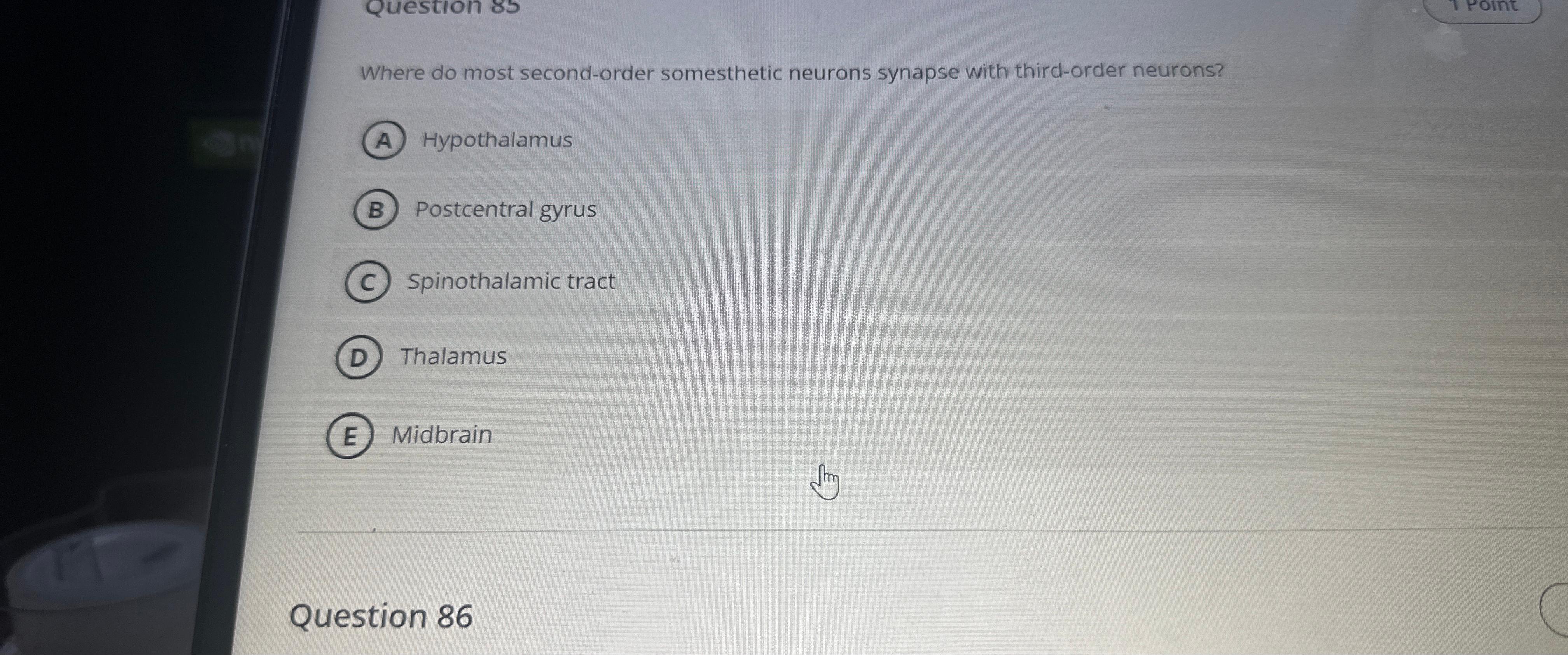 Solved Where do most second-order somesthetic neurons | Chegg.com