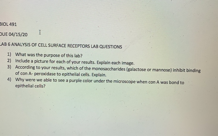 Solved BIOL 491 DUE 04/15/20 I LAB 6 ANALYSIS OF CELL | Chegg.com