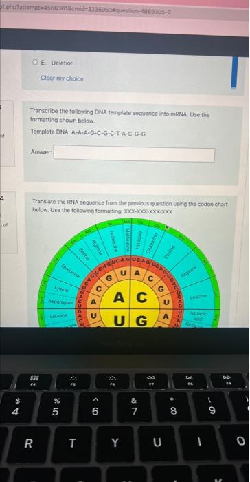 Solved Translate the RNA sequence from the previous question | Chegg.com