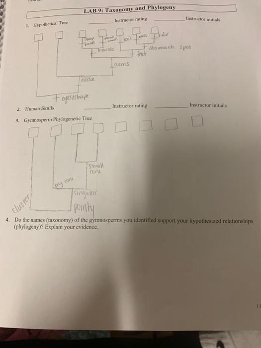 LAB 9: Taxonomy and Phylogeny Instructor initials | Chegg.com
