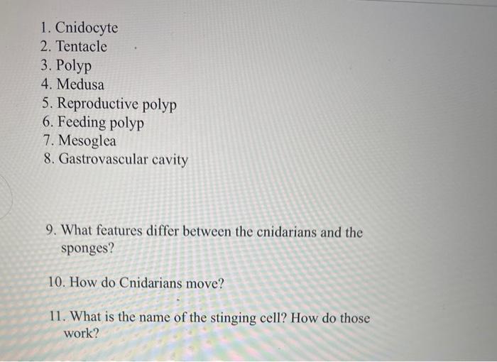 Solved 1. Cnidocyte 2. Tentacle 3. Polyp 4. Medusa 5. | Chegg.com