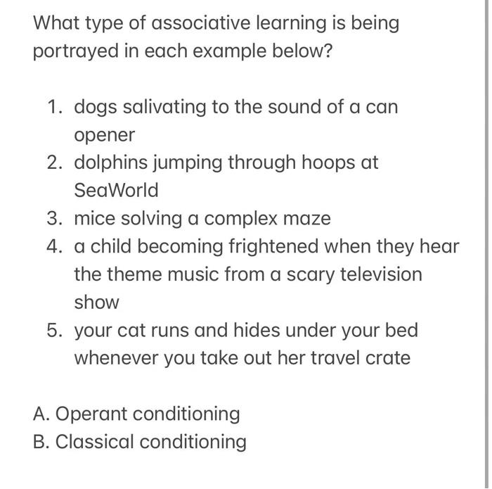 Solved What type of associative learning is being portrayed | Chegg.com