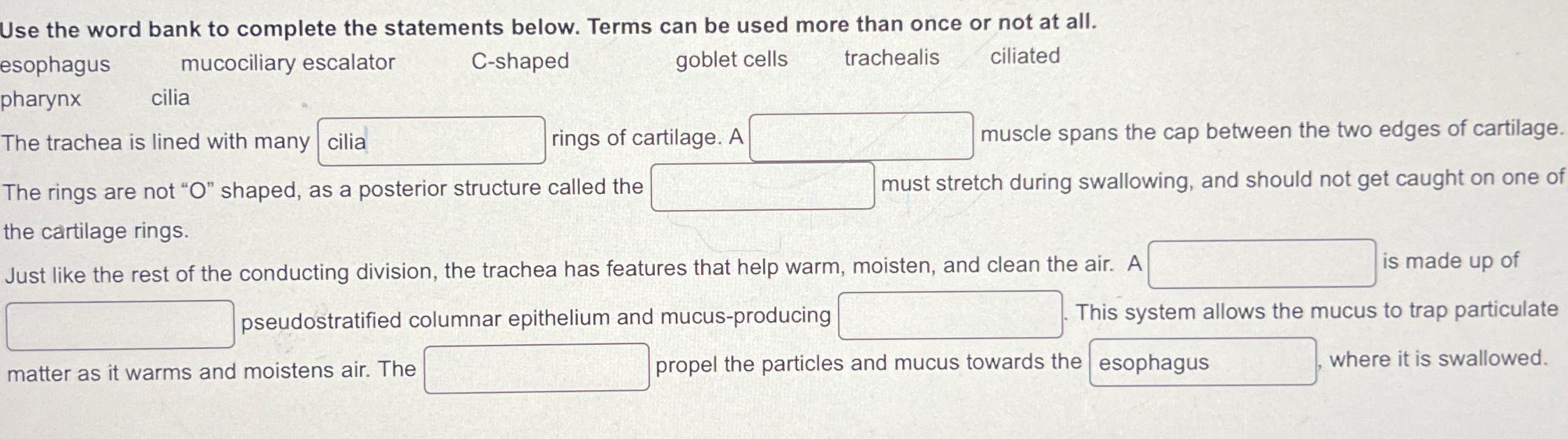 Solved Use the word bank to complete the statements below. | Chegg.com