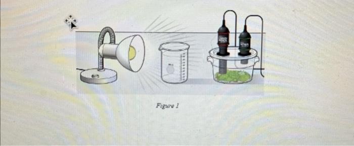 Solved 1) An experiment was set up as diagrammed below to | Chegg.com