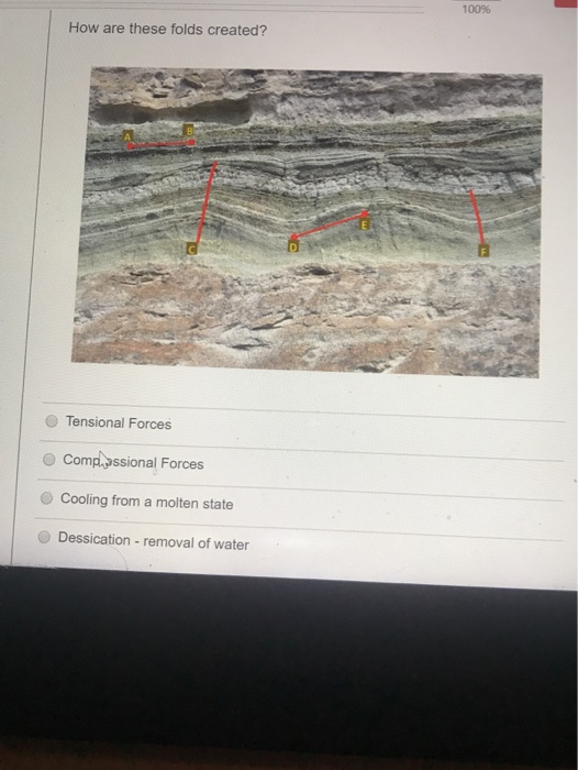 Solved 100% How are these folds created? Tensional Forces | Chegg.com