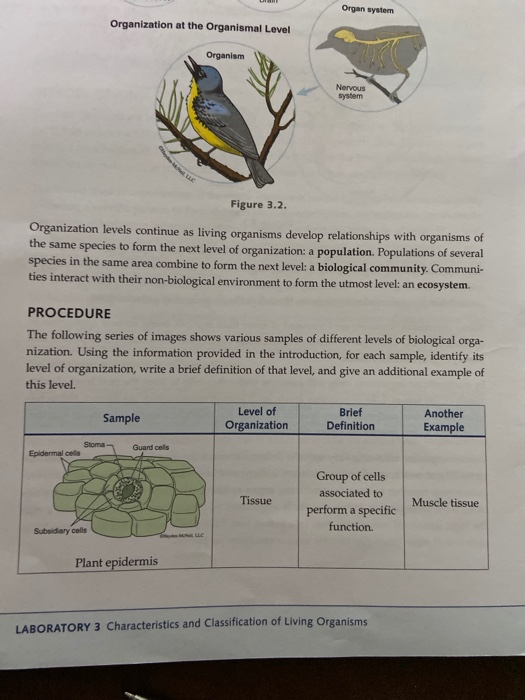Solved QUESTIONS FOR ANALYSIS 1. List the levels of | Chegg.com