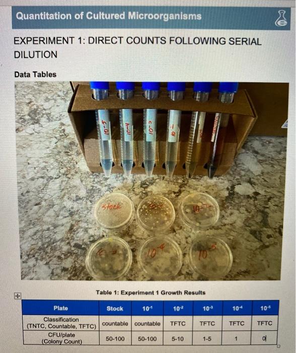 Solved Quantitation of Cultured Microorganisms EXPERIMENT 1: | Chegg.com