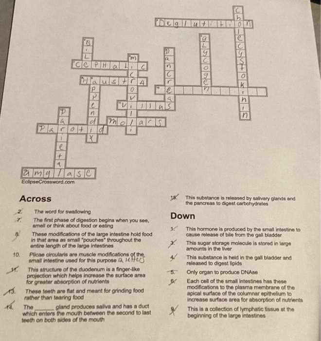 Solved 13. 8 14. Across 2. 10. 7. "B e + L CCPH al P P "P la | Chegg.com