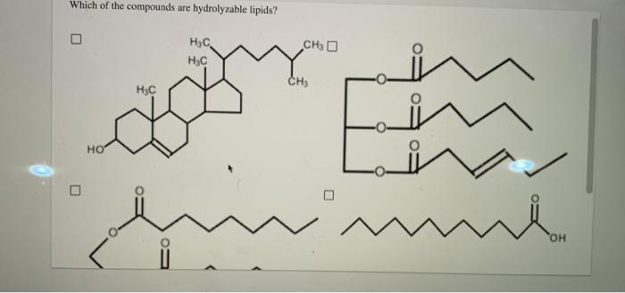 Solved Which of the compounds are hydrolyzable lipids? НАС | Chegg.com