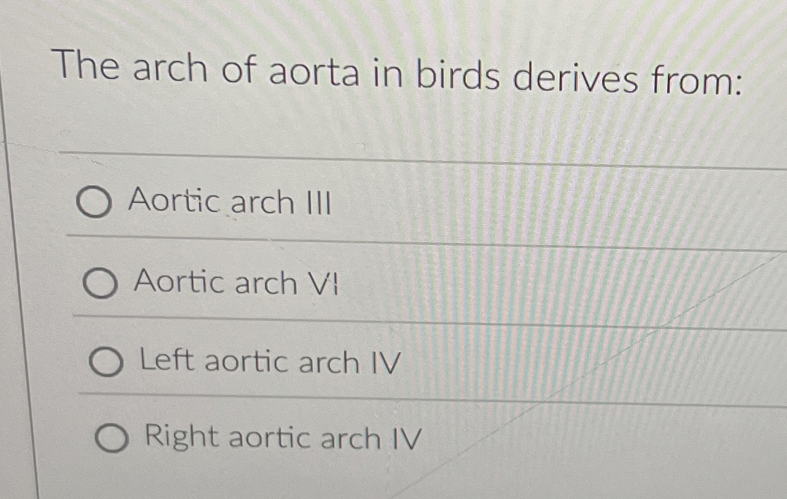 High Quality SOLUTION The arch of aorta in birds derives from:Aortic ...