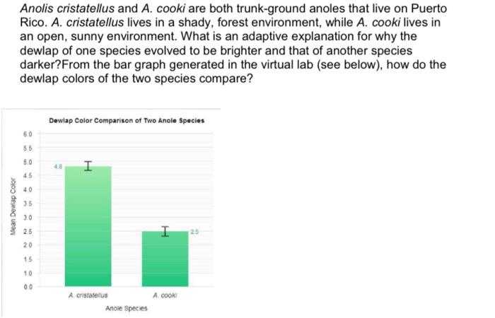 Solved Anolis cristatellus and A. cooki are both | Chegg.com