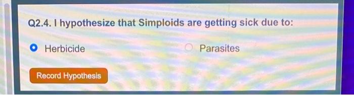 Solved Q2.4. I hypothesize that Simploids are getting sick | Chegg.com