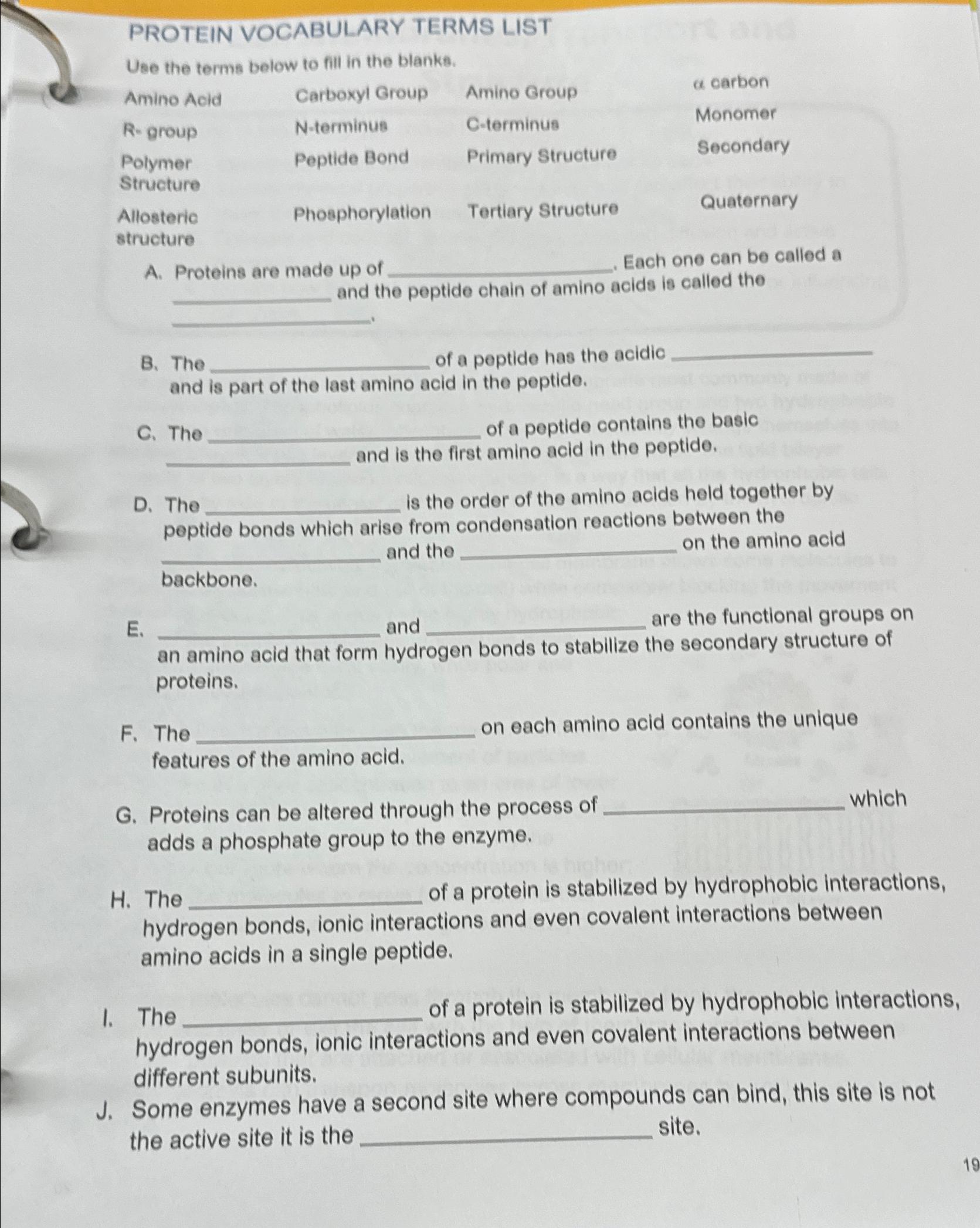 Solved PROTEIN VOCABULARY TERMS LISTUse the terms below to | Chegg.com